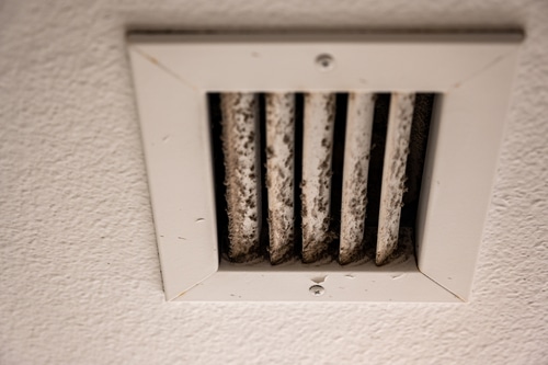 Mold in Air Ducts: What Causes It & How to Remove It