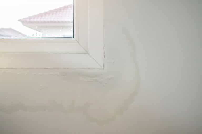 How to Spot Water Damage in Your Home: Tips & Tricks